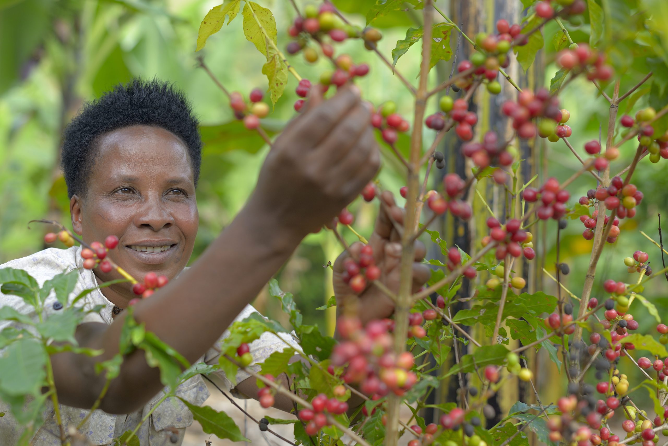 Sostenibilidad y comercio justo o “cómo marcar la diferencia con tus ...